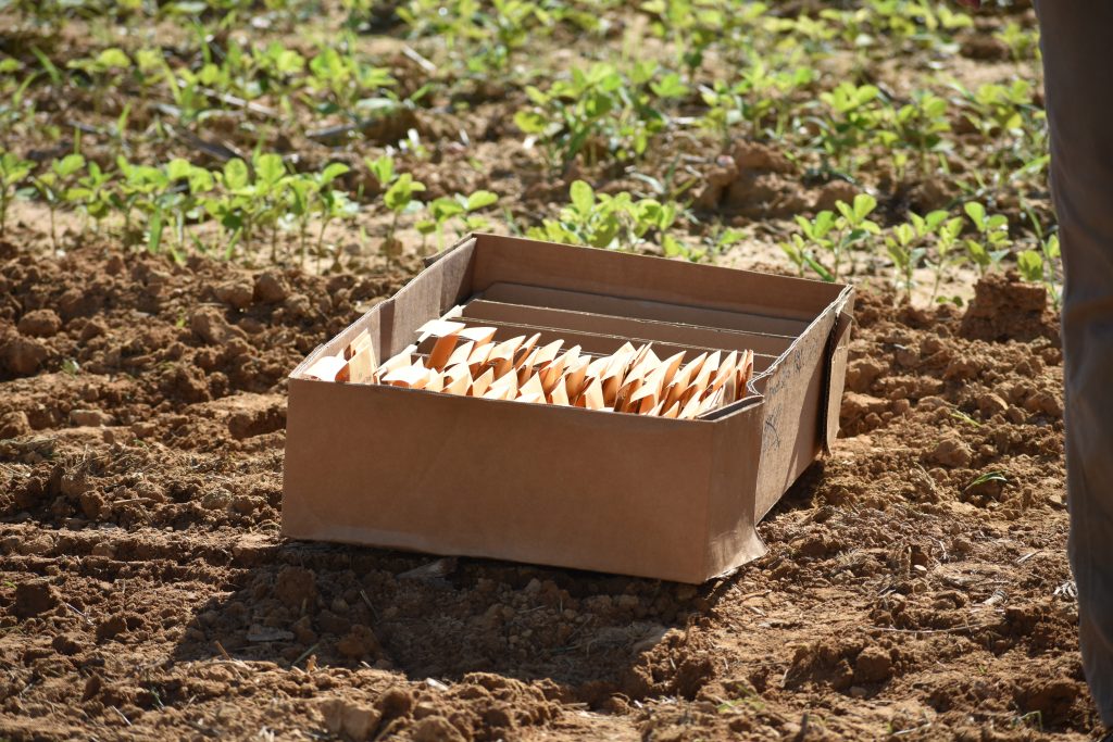 Planting Soybeans Early - Science for Success