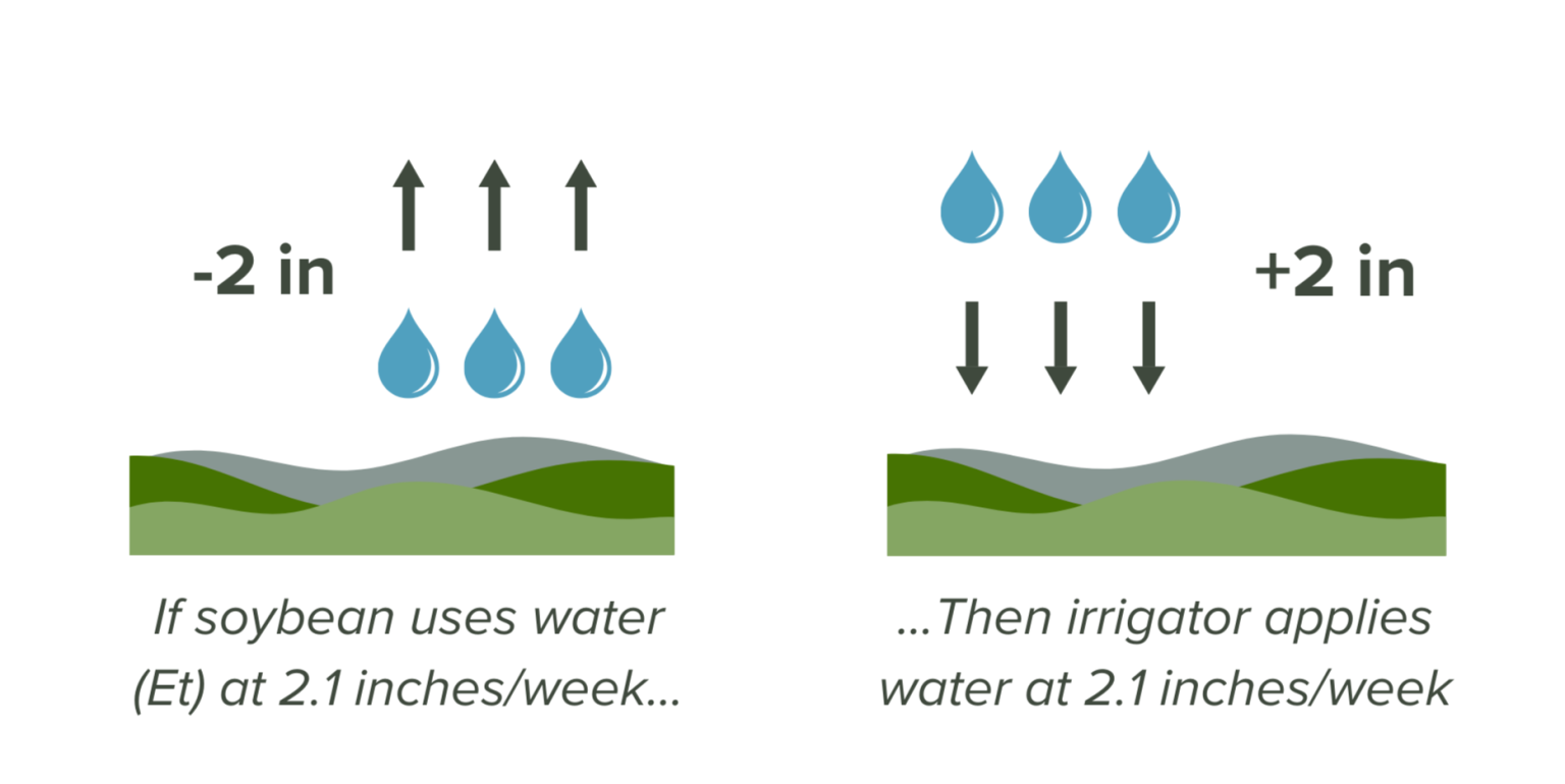 Soybean Water Use 101 - Science for Success
