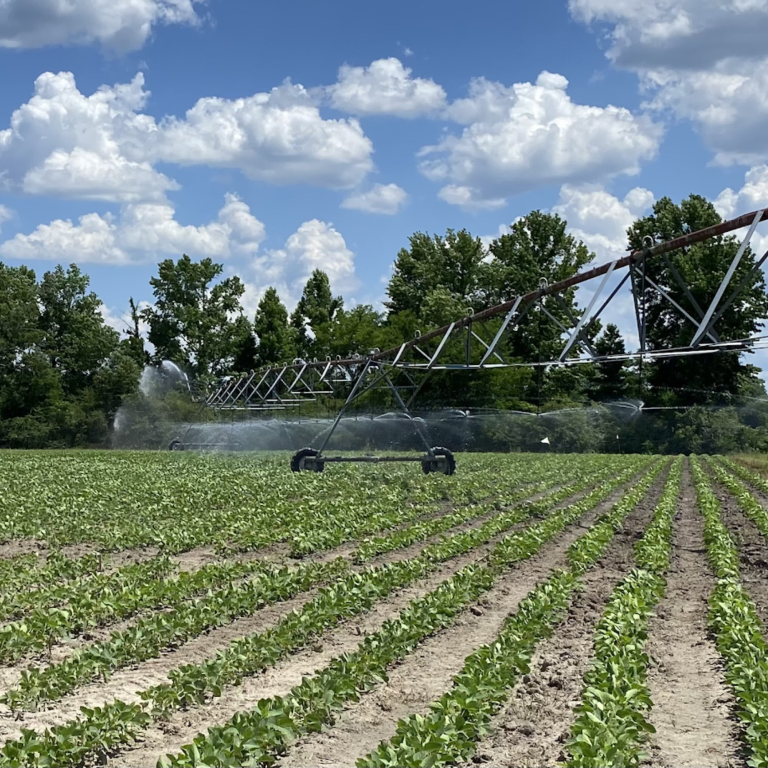 How To Pick The Right Soybean Row Spacing - Science for Success