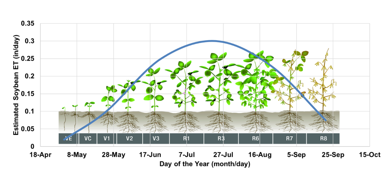 Soybean Water Use 101 - Science for Success