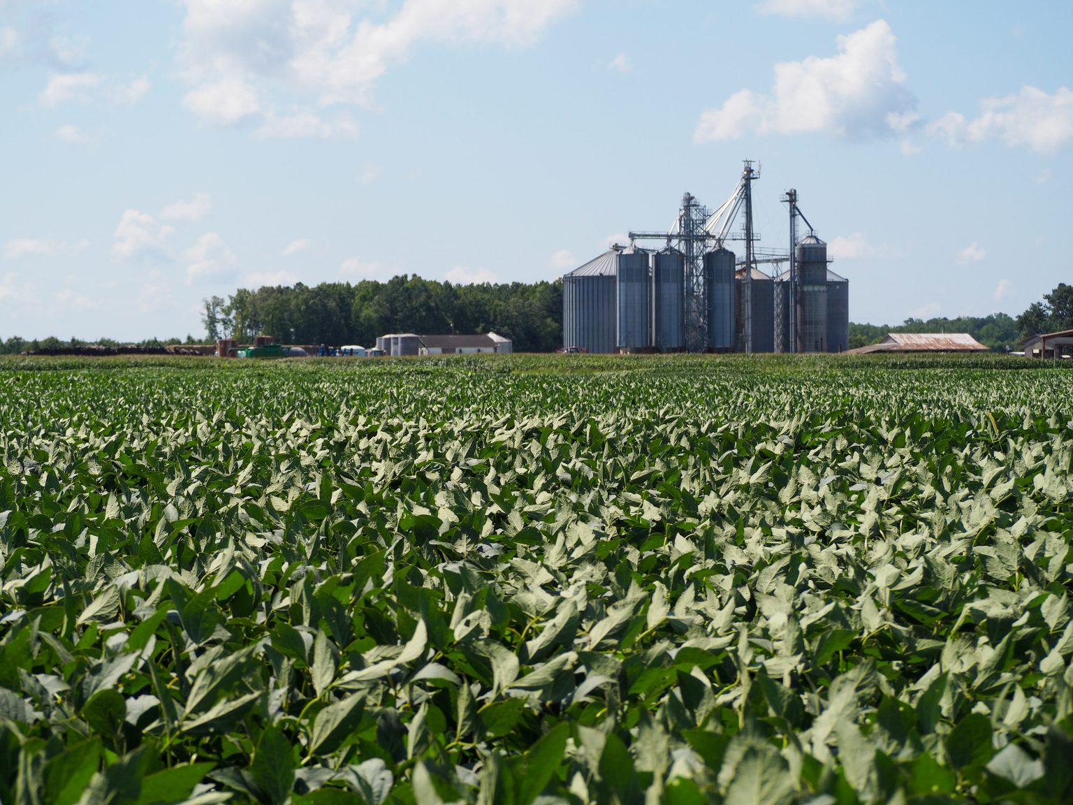 How To Pick The Right Soybean Row Spacing - Science for Success