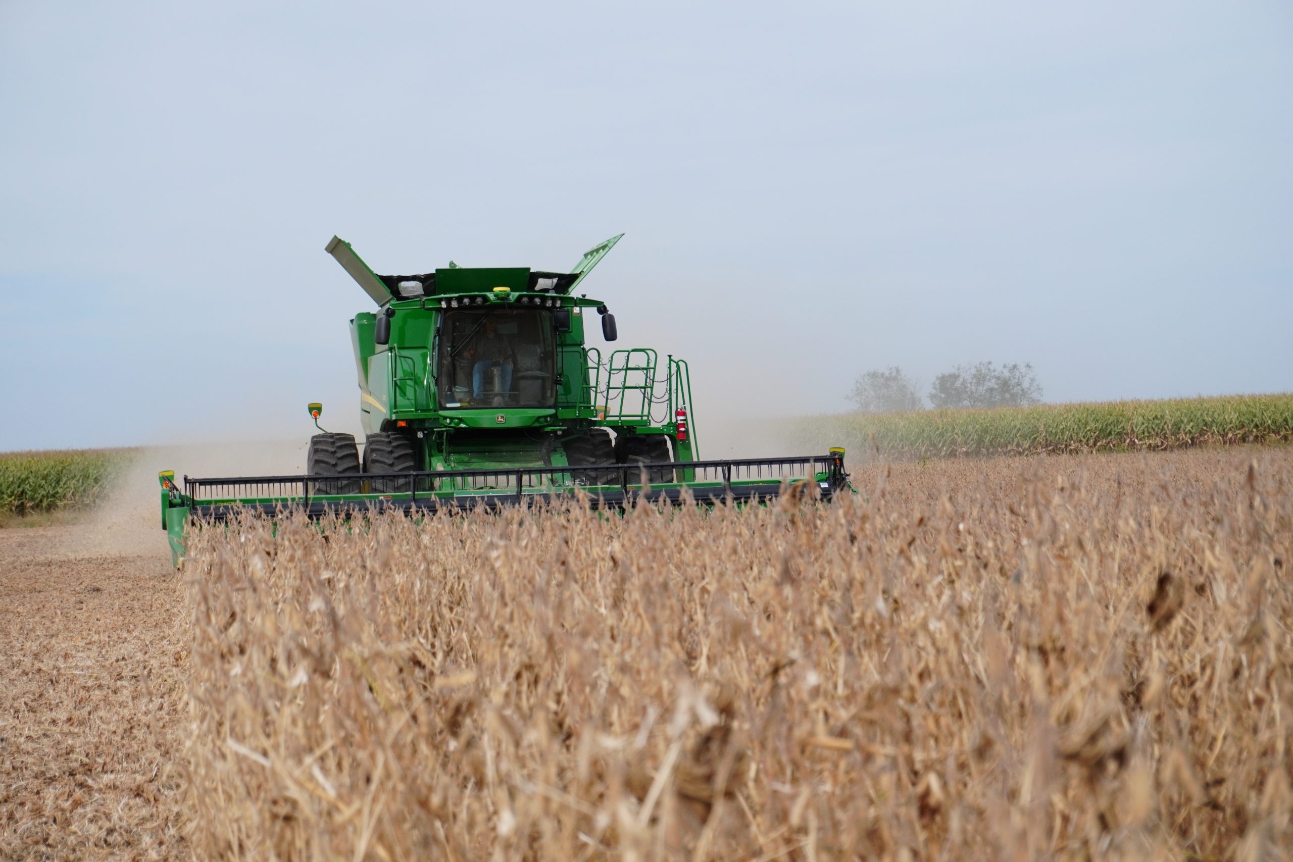 The Best Soybean Planting Date